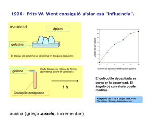 Respuestas de las plantas a señales internas y externas.pdf