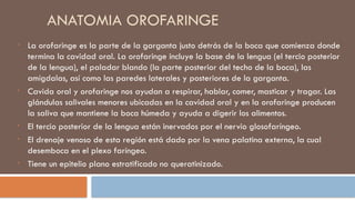 TEMA 9. CONOCER LA ANATOMIA Y FISIOLOGIA DE LA OROFARINGE .pptx