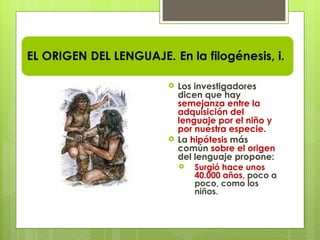 Tema 9. animal simbólico | PPT