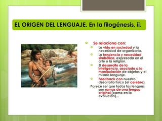 Tema 9. animal simbólico | PPT