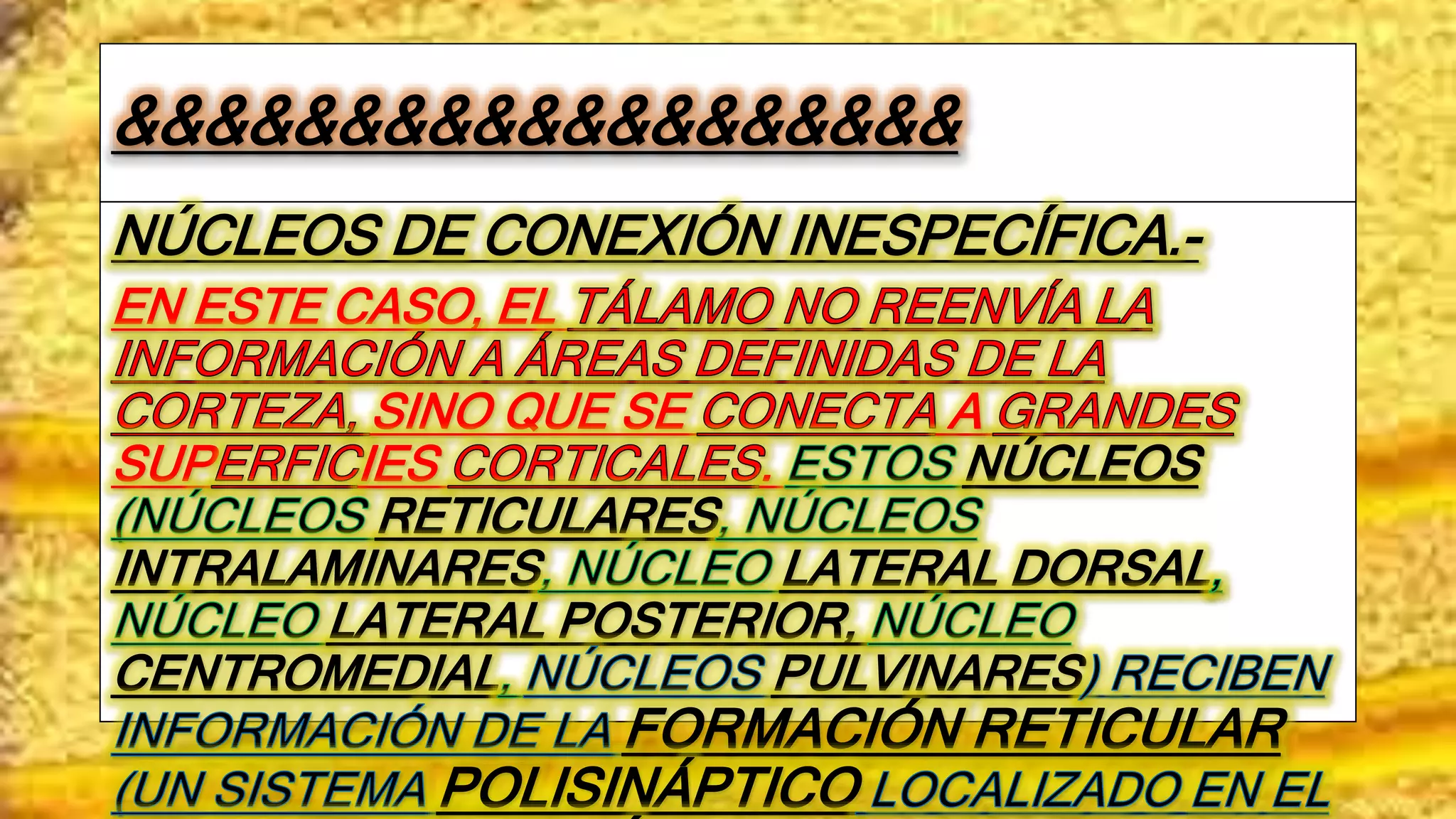 TEMA 915. LA ESTRUCTURA DEL TÁLAMO. CONFORMACIÓN DE SUS NÚCLEOS ...