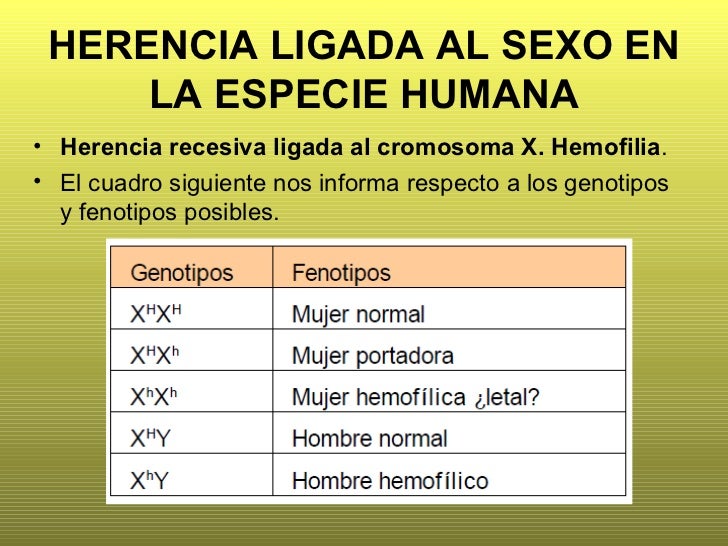 Tema 9 Herencia Ligada Al Sexo