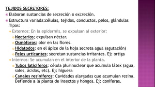 Tema 9 Histología vegetal y animal | PPTX