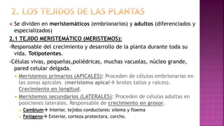 Tema 9 Histología vegetal y animal | PPTX