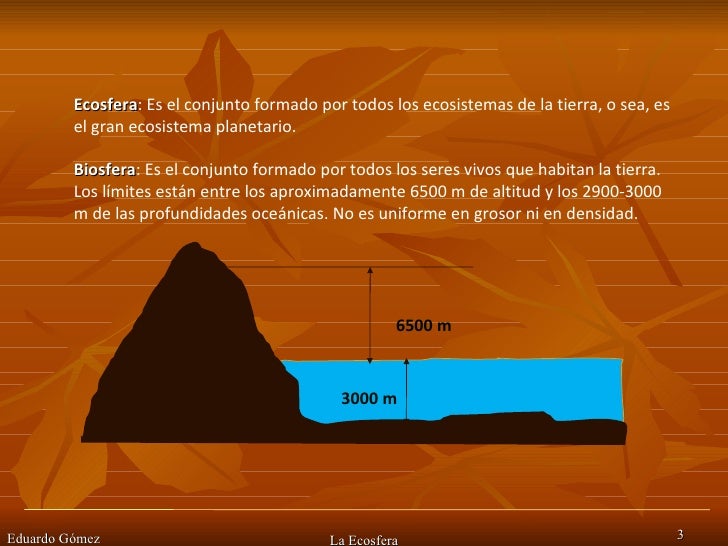 Tema 9 la ecosfera1 (1)