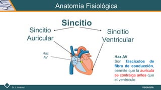 TEMA 9 musculo cardiaco- el corazón como bomba- ultimo.pdf