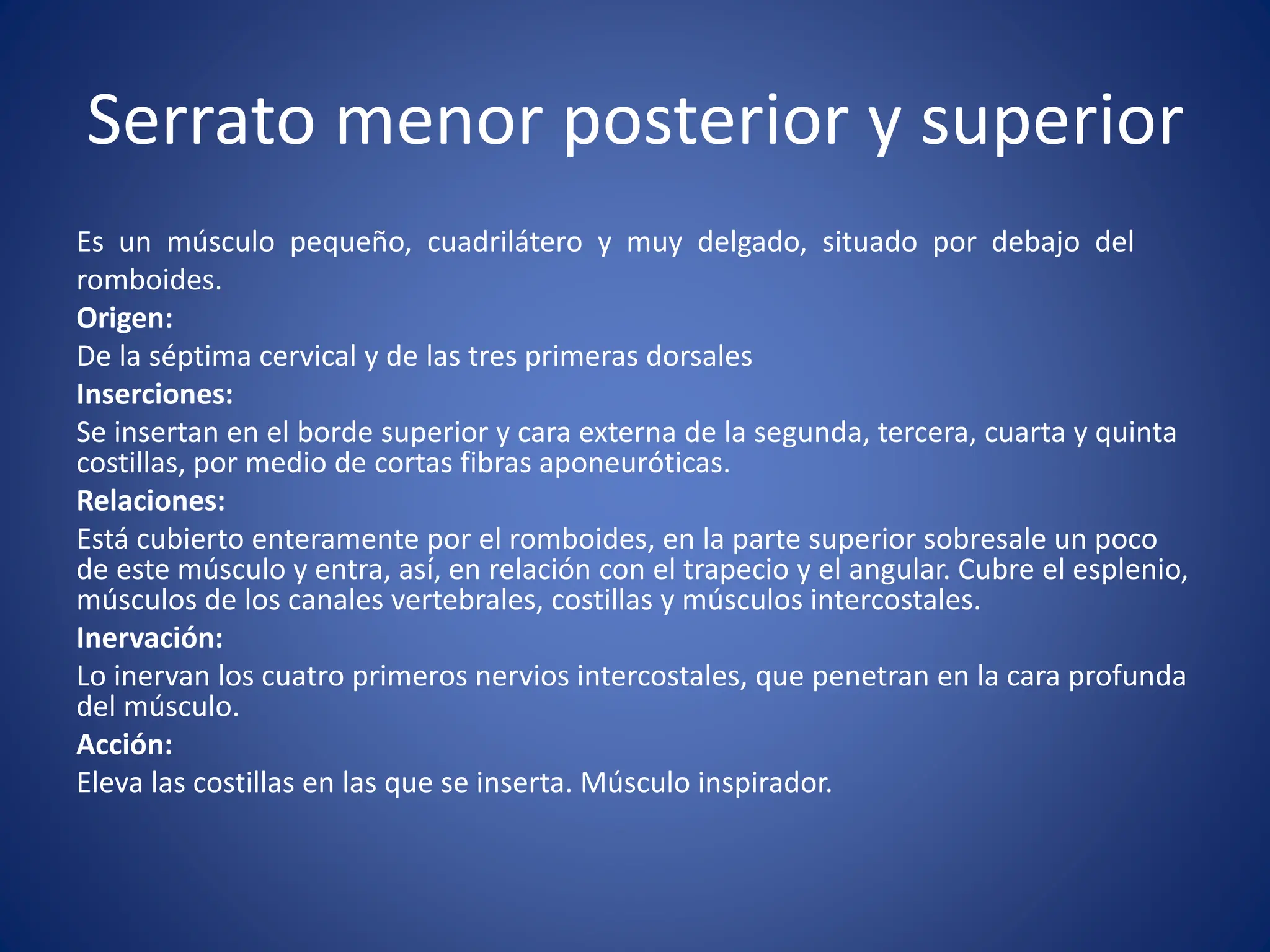 tema_9_MUSCULOS_DE_LA_REGION_POSTERIOR_DEL_TRONCO_Y.pptx