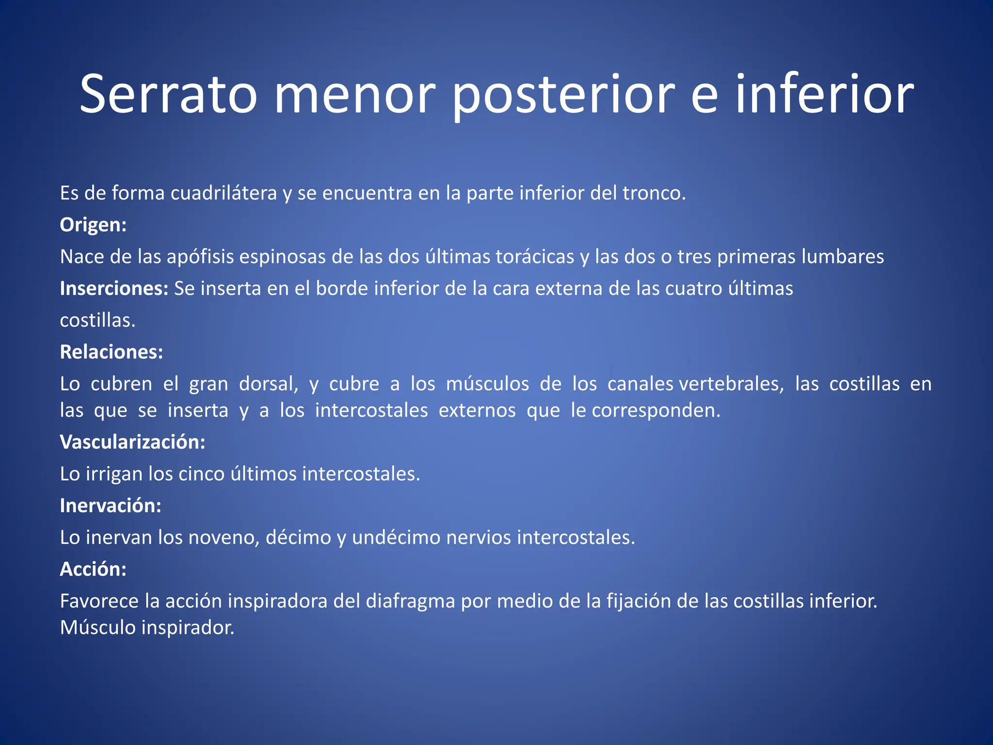 tema_9_MUSCULOS_DE_LA_REGION_POSTERIOR_DEL_TRONCO_Y.pptx