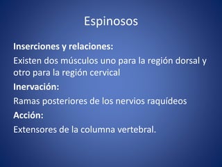 tema_9_MUSCULOS_DE_LA_REGION_POSTERIOR_DEL_TRONCO_Y.pptx