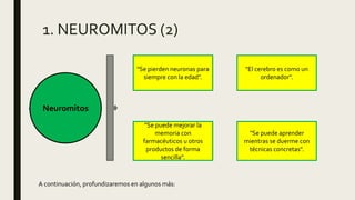Tema 9 Neuromitos | PPTX
