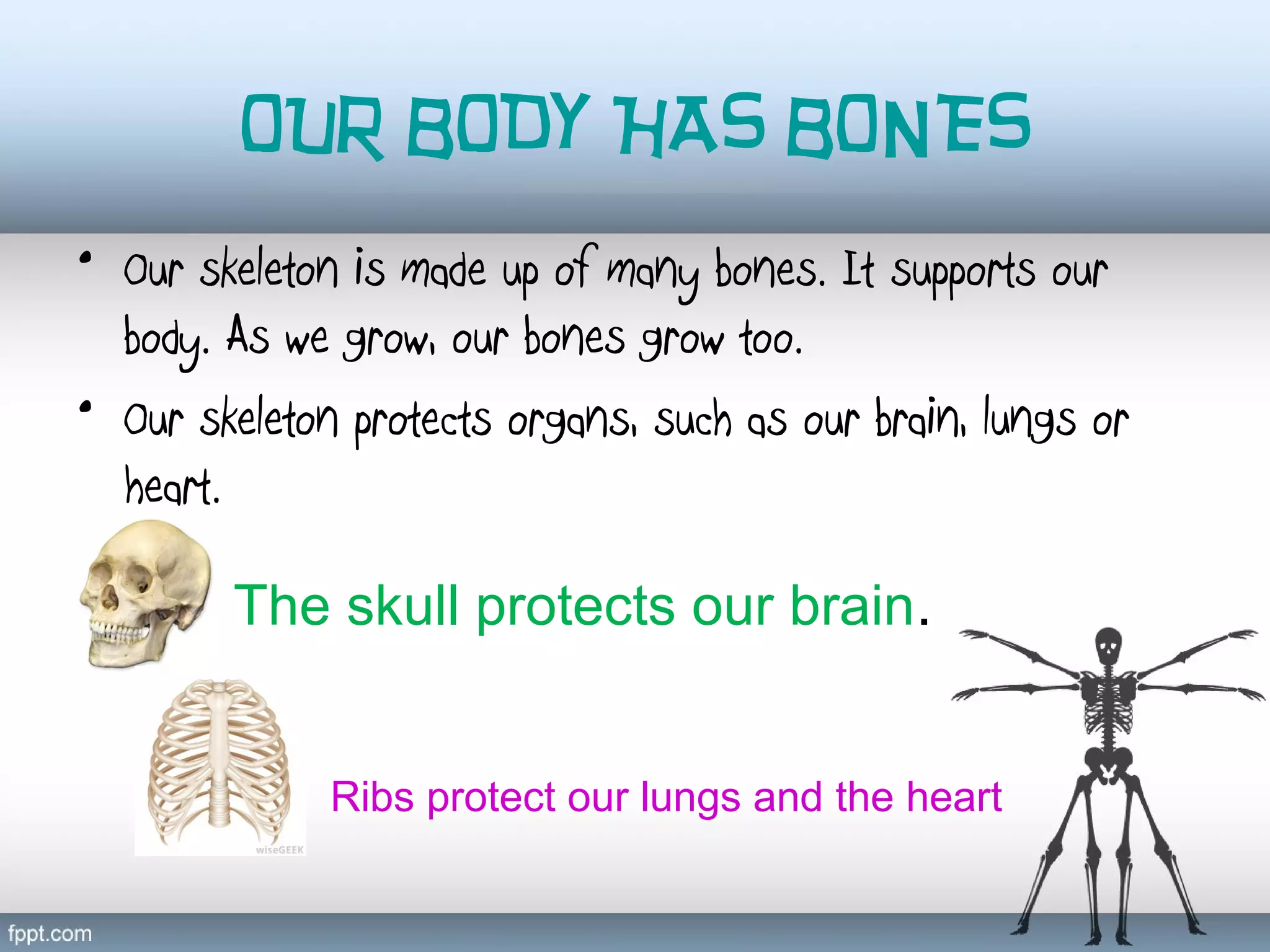 HOW MY BODY MOVES | PPT