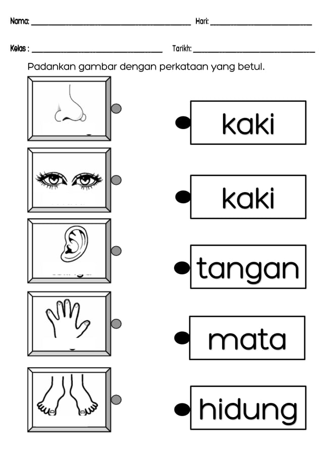 Tema Anggota Badan Saya (pra sekolah) .pdf