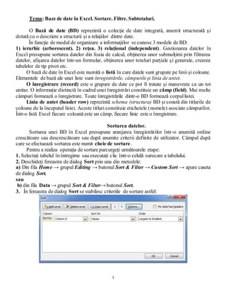 Tema baze de date in excel | DOC
