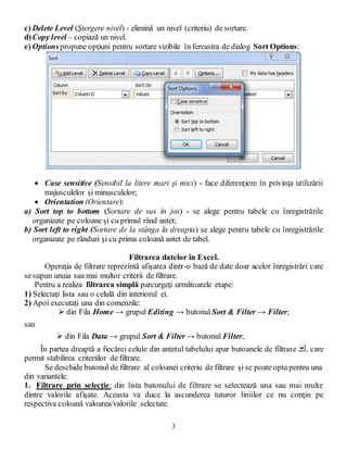 Tema baze de date in excel | DOC