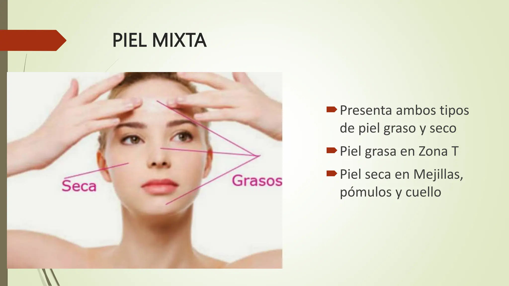 TEMA CLASIFICACIÓN DE LA PIEL SEGUN SUS CARACTERISTICAS | PPT