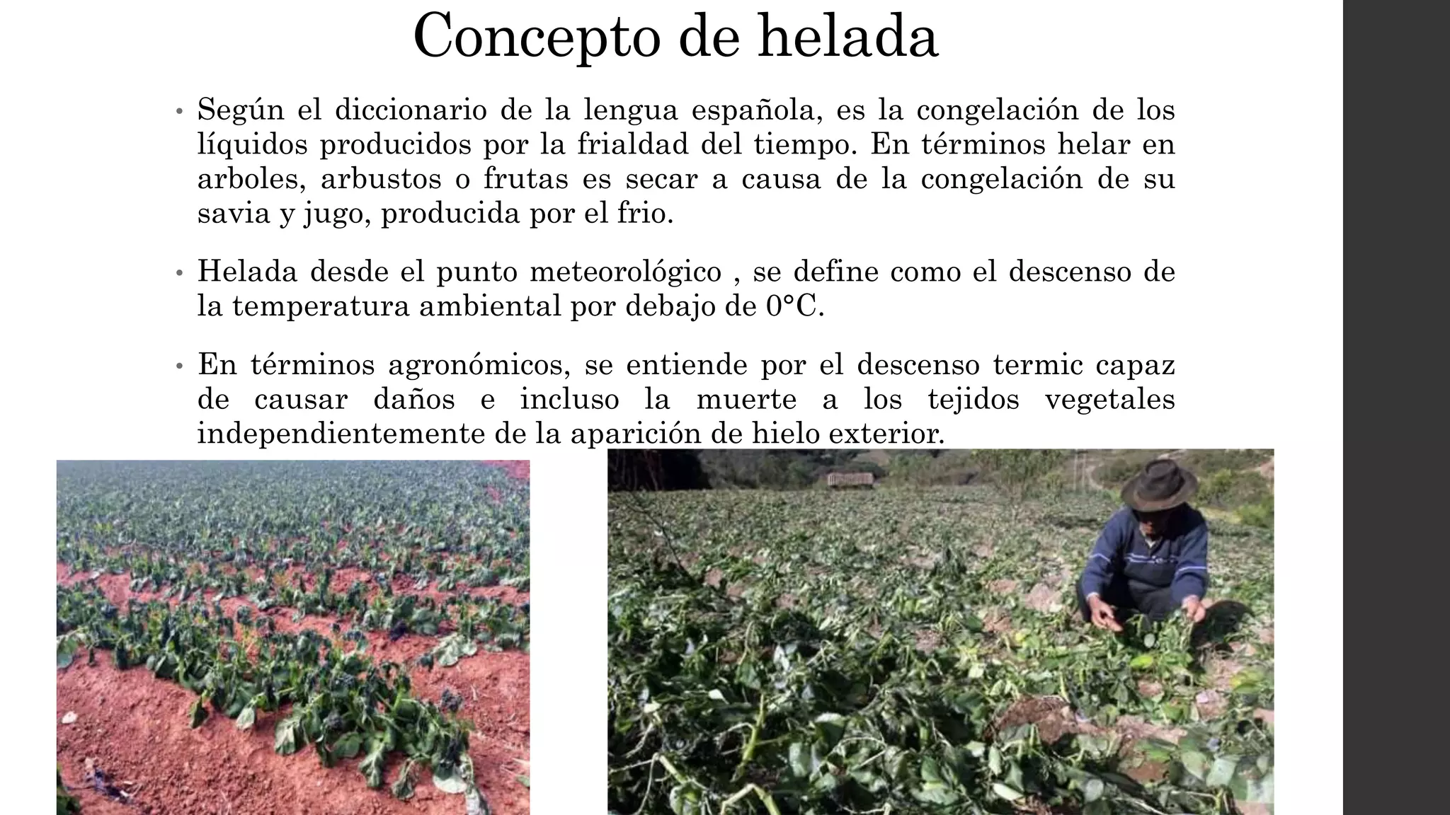 Tema de Heladas en los cultivos.pptx
