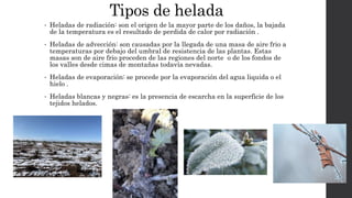 Tema de Heladas en los cultivos.pptx