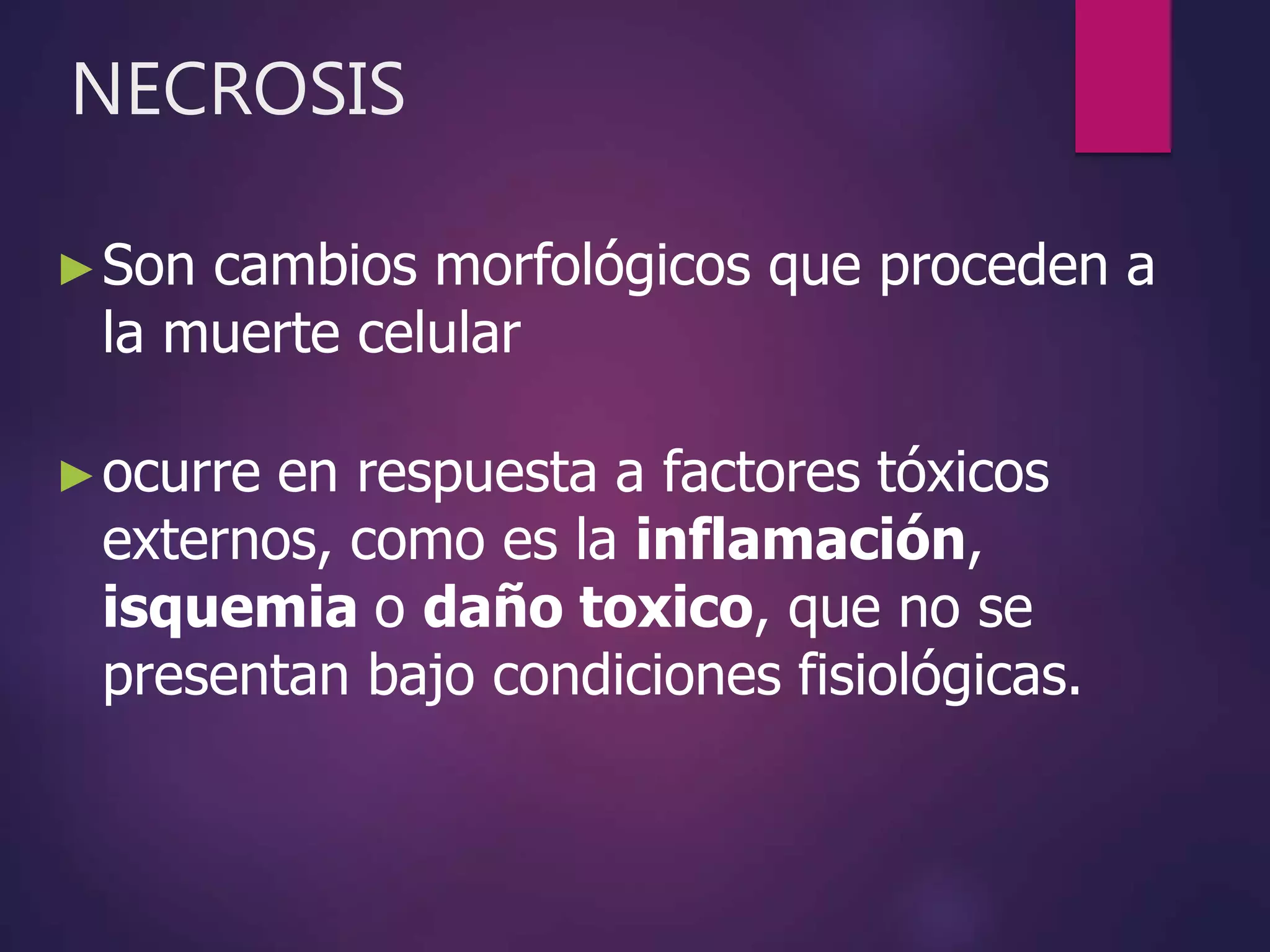 Necrosis | PPT