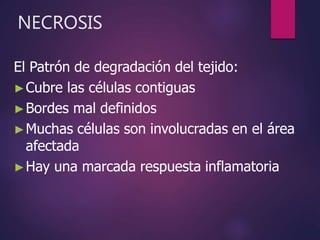 Necrosis | PPTX