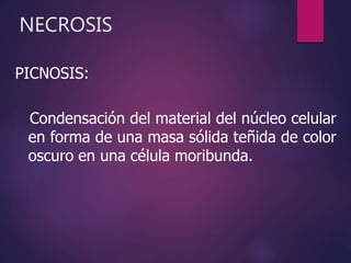 Necrosis | PPTX