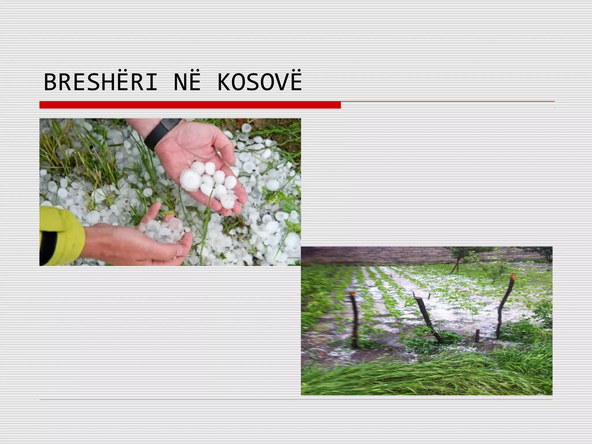 Tema e diplomes | PPT