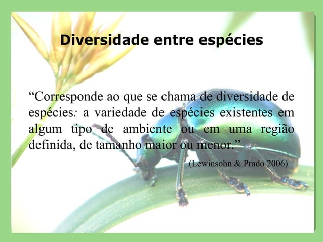 Biodiversidade e aspectos biológicos