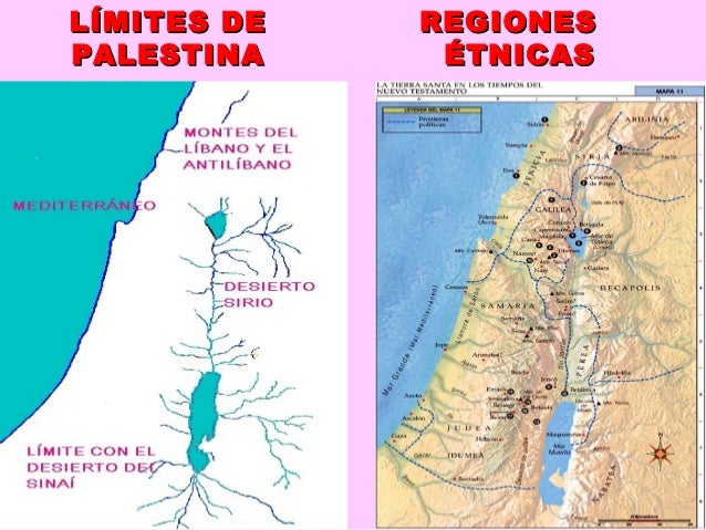 Edad Antigua :Aportes de Palestina y Fenicia: FORMA DE GOBIERNO Y ...