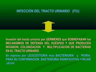 Tema infeccion urinaria | PPT