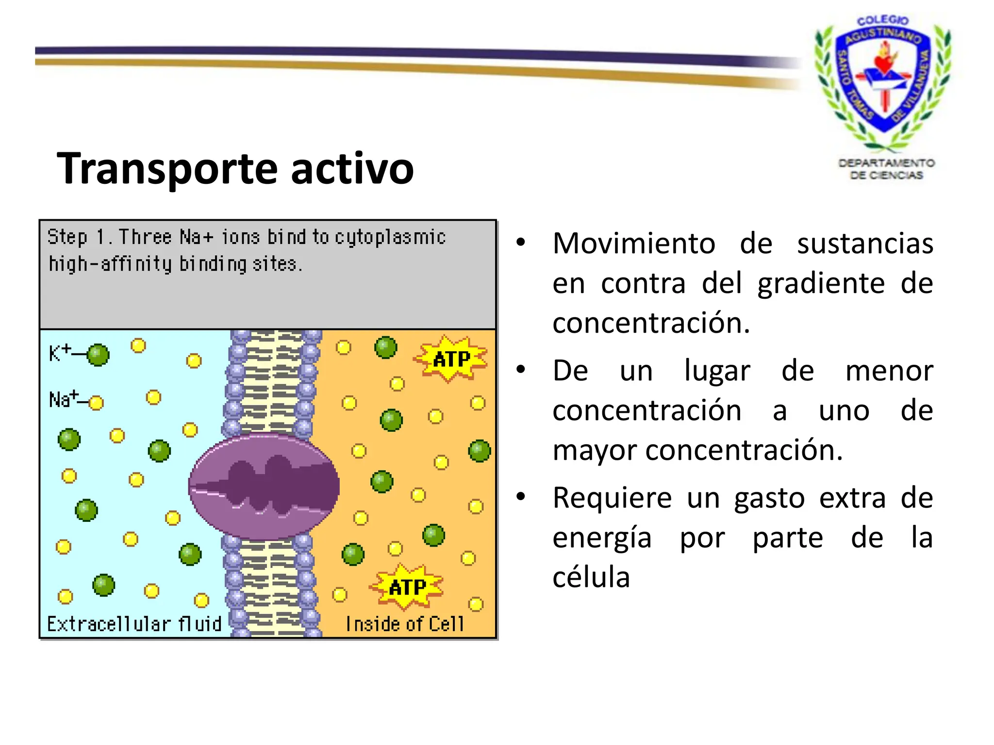 Diferencia Entre Difusión Y Transporte Activo / Ciencia – KHLJE