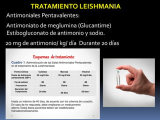 Tema Leishmaniosis.pdf