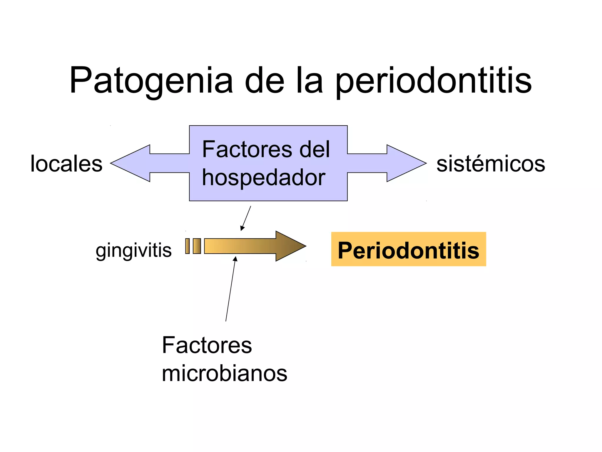 Tema m28 enfermedad_periodontal_periodontitis | PPT