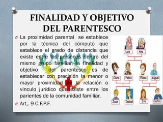 PARENTESCO Y AFINIDAD DIFERENCIAS CARACTERISTICAS | PDF
