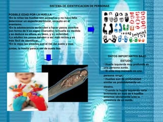 Tema nº 5. sistema de ident. de personas. luz | PPT