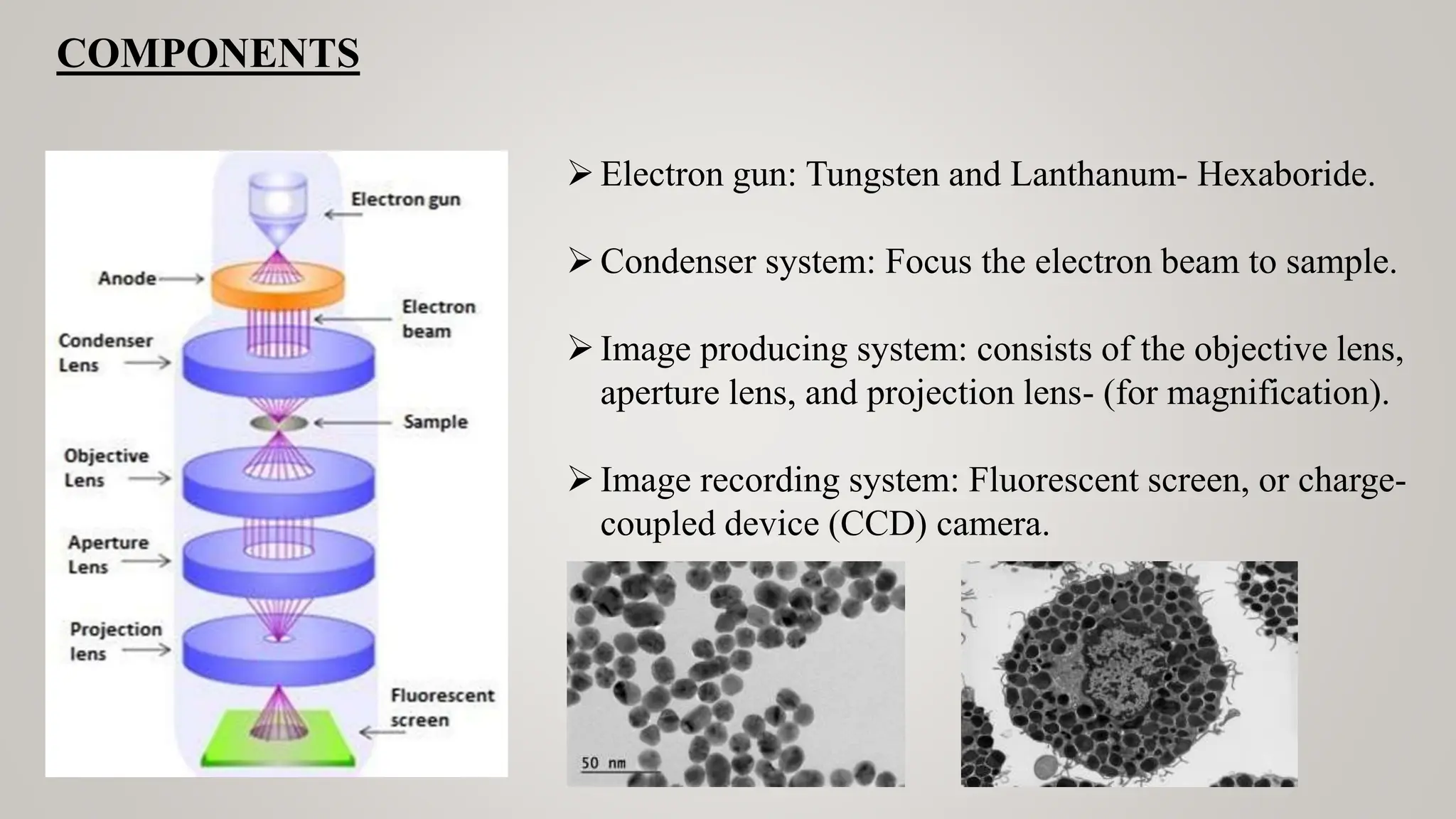 Transmission electron microscopy-TEM, principle and working.pptx