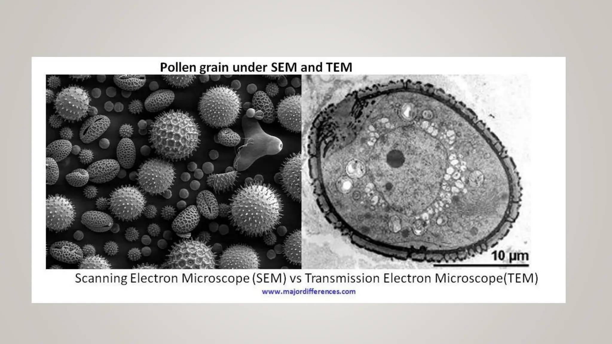 Transmission electron microscopy-TEM, principle and working.pptx