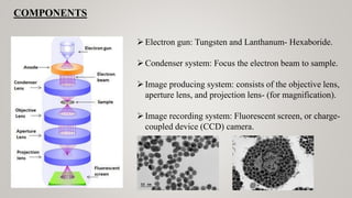 Transmission electron microscopy-TEM, principle and working.pptx