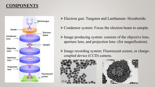 Transmission electron microscopy-TEM, principle and working.pptx