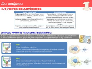 Temas 17 y 18: EL SISTEMA INMUNITARIO | PDF