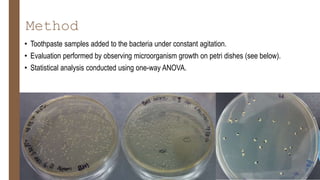 Antimicrobial Effects of Oral Botanica vs Common Toothpastes | PPT