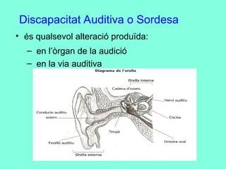 TEMA SORDESA DEF discapacidad auditivas. | PPT