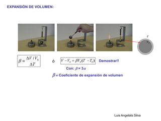 Tema _Temperatura y calor_2024-10.pdf FISICA | PDF
