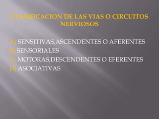 Tema vii vias conduccion nerviosa | PPTX