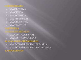 Tema vii vias conduccion nerviosa | PPTX