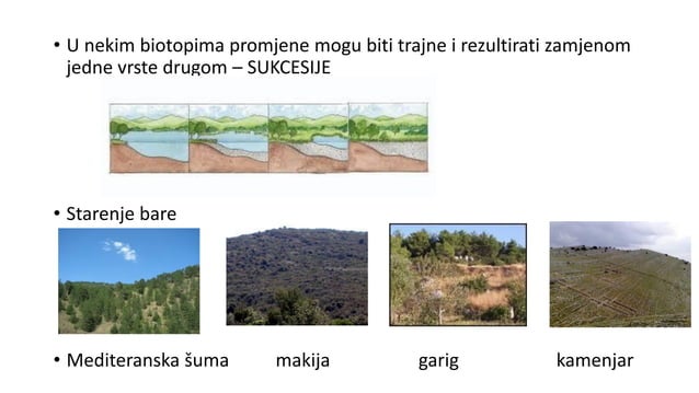 TEMELJNA SVOJSTVA BIOCENOZE pdf (1) (2).pdf