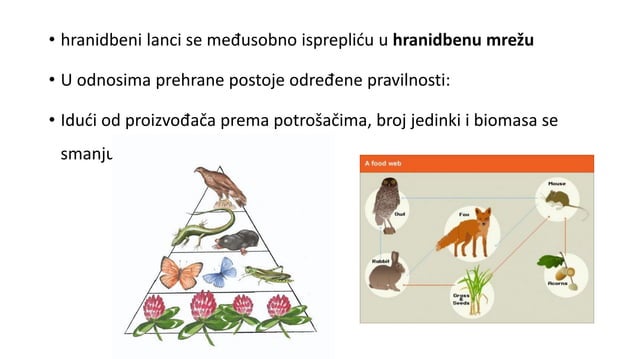 TEMELJNA SVOJSTVA BIOCENOZE pdf (1) (2).pdf