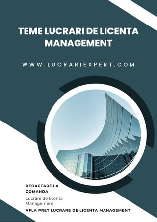 Teme Lucrari de licenta Management.pdf