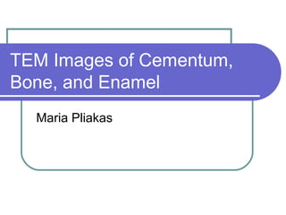 Tem images of bone, dentin, cementum and enamel | PPT
