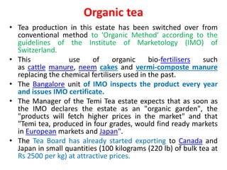 Temi tea garden | PPTX