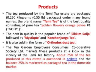 Temi tea garden | PPTX