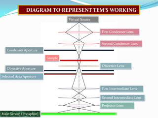transmission electron microscopy | PPTX